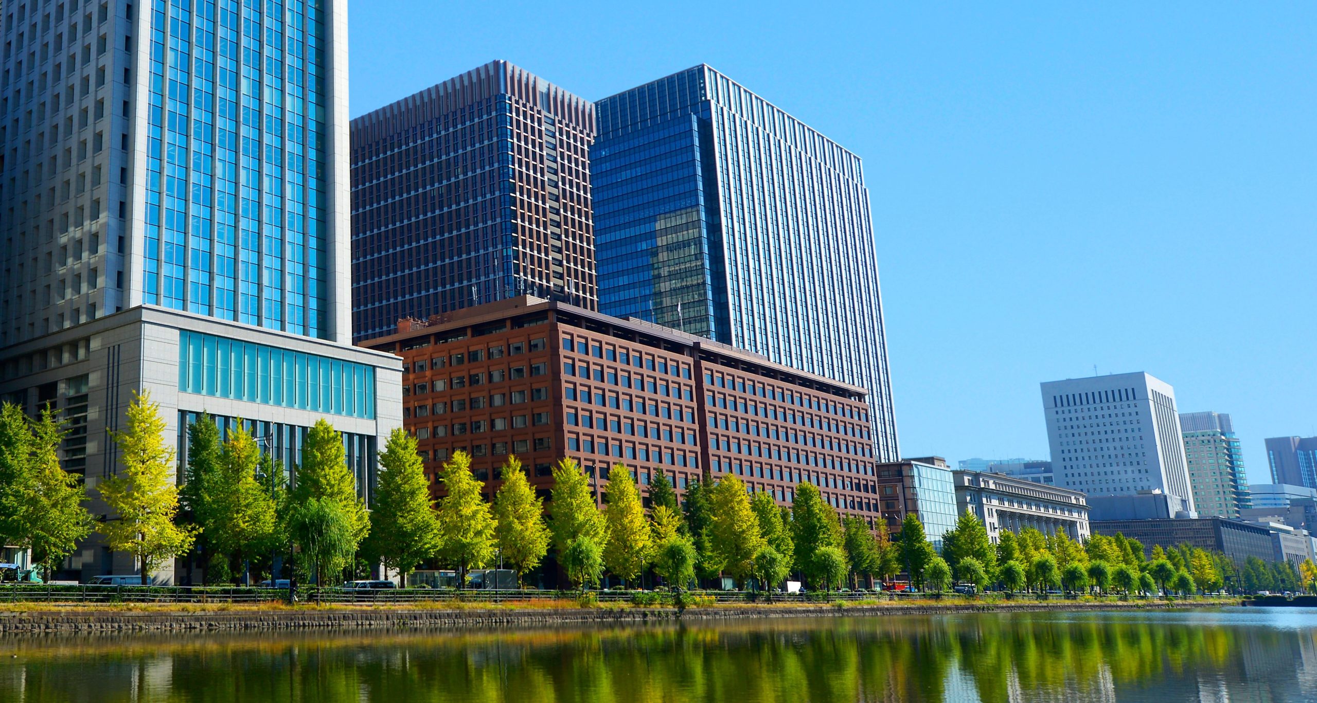 Asset Management Co.,Ltd. | Inheritance and Business Succession Support | Fixed Income, IFA ...